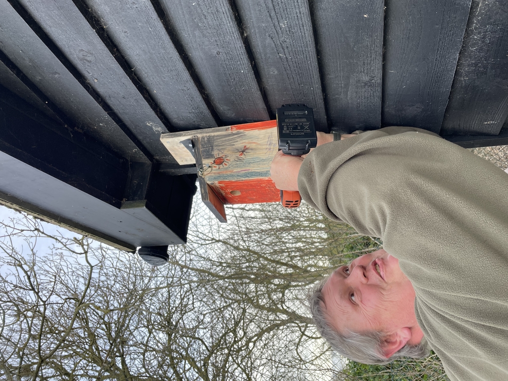 Wilder School - Dennington Primary | Suffolk Wildlife Trust