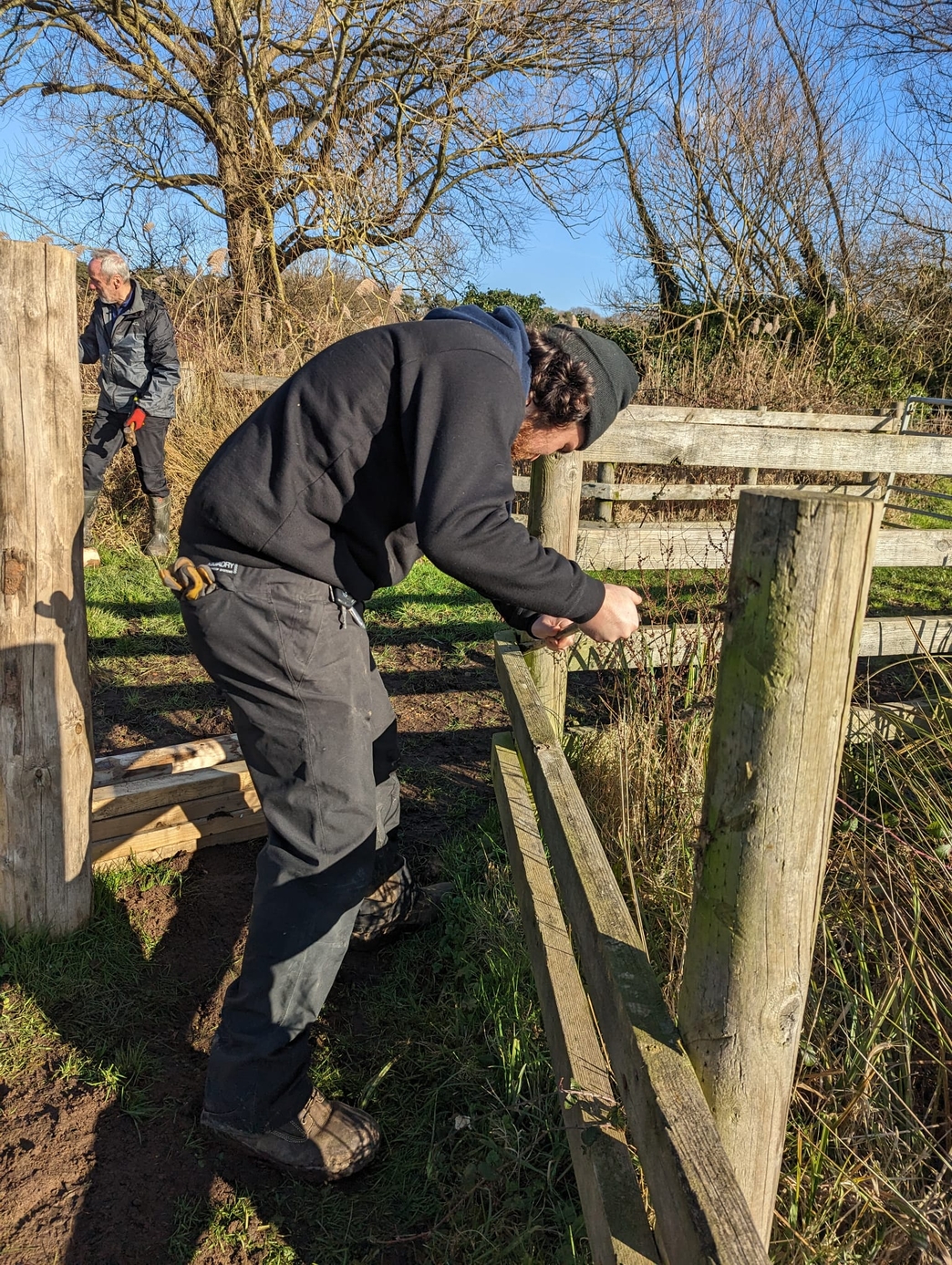 Weekly wild news from our reserves - 3 February 2023 | Suffolk Wildlife ...