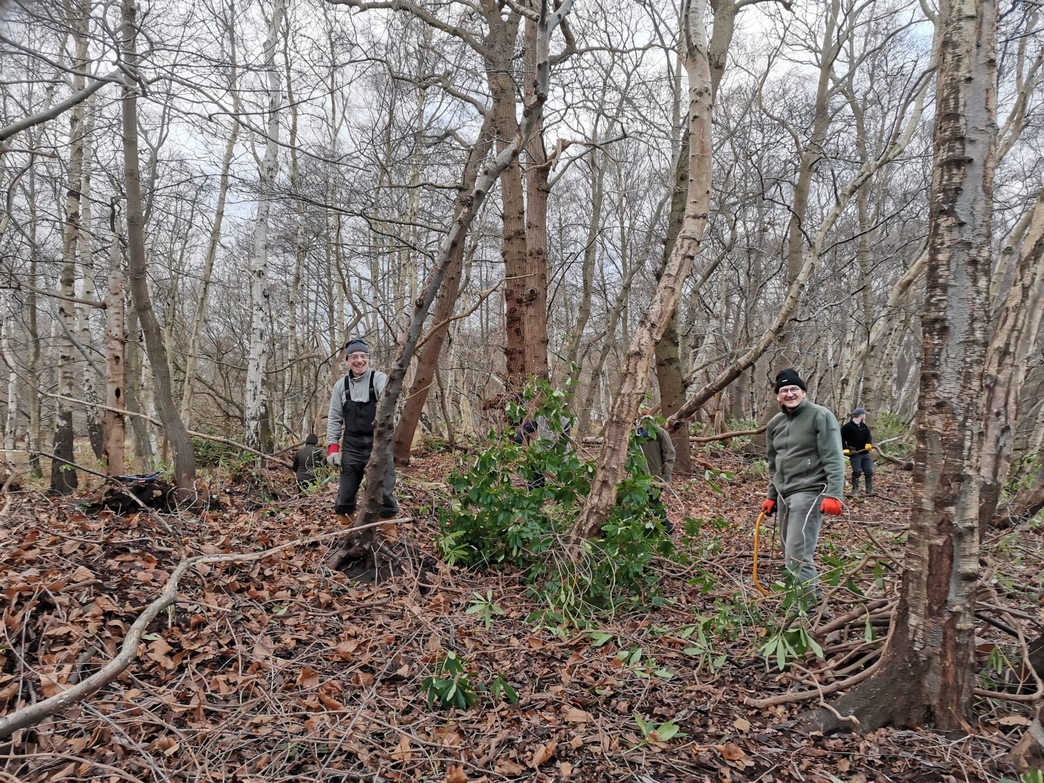 Weekly wild news from our reserves - 3 February 2023 | Suffolk Wildlife ...