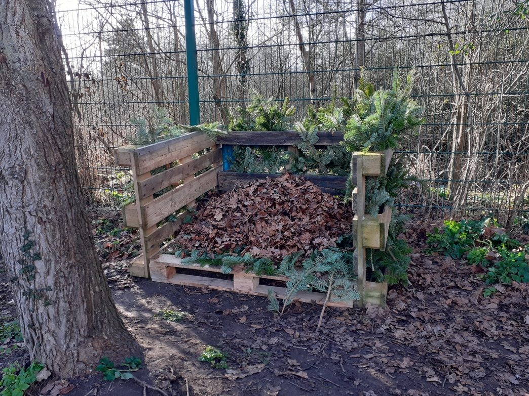 Wilder School - Coldfair Green Primary | Suffolk Wildlife Trust