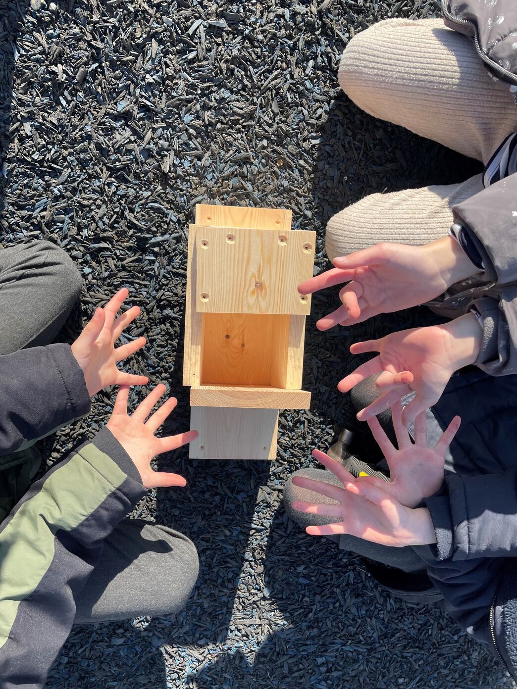 Wilder School - Kyson Primary School | Suffolk Wildlife Trust