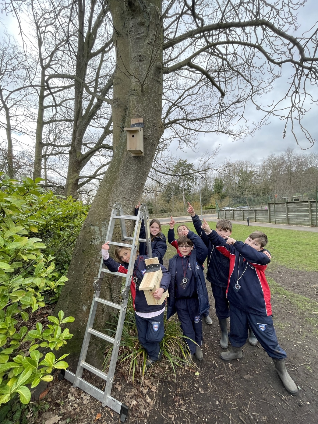 Wilder School - Woodbridge School Prep | Suffolk Wildlife Trust