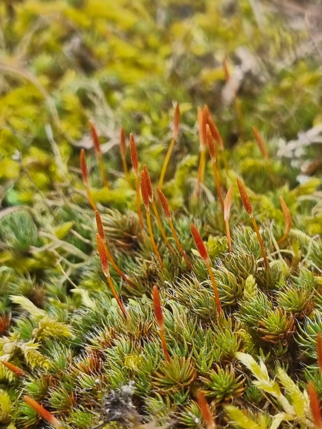 Weekly wild news from our reserves – 10 March 2023 | Suffolk Wildlife Trust