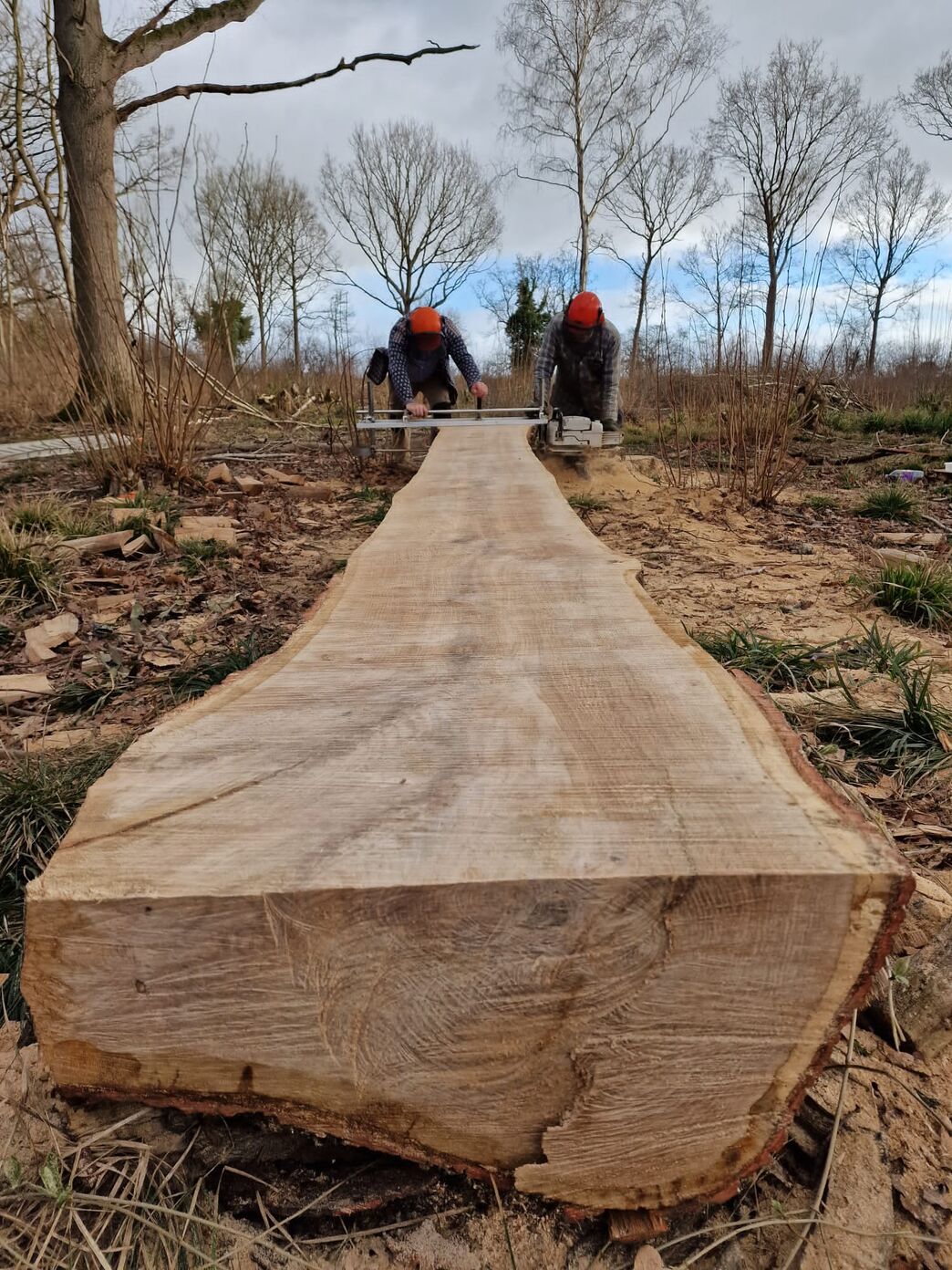 Weekly wild news from our reserves – 17th March 2023 | Suffolk Wildlife ...