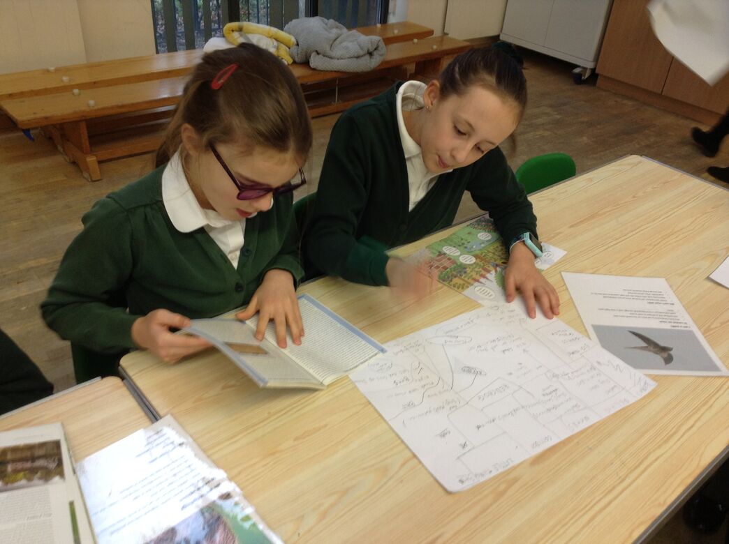 Wilder School - Wortham Primary | Suffolk Wildlife Trust