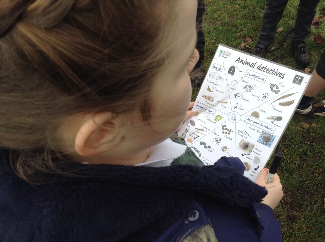 Wilder School - Wortham Primary | Suffolk Wildlife Trust