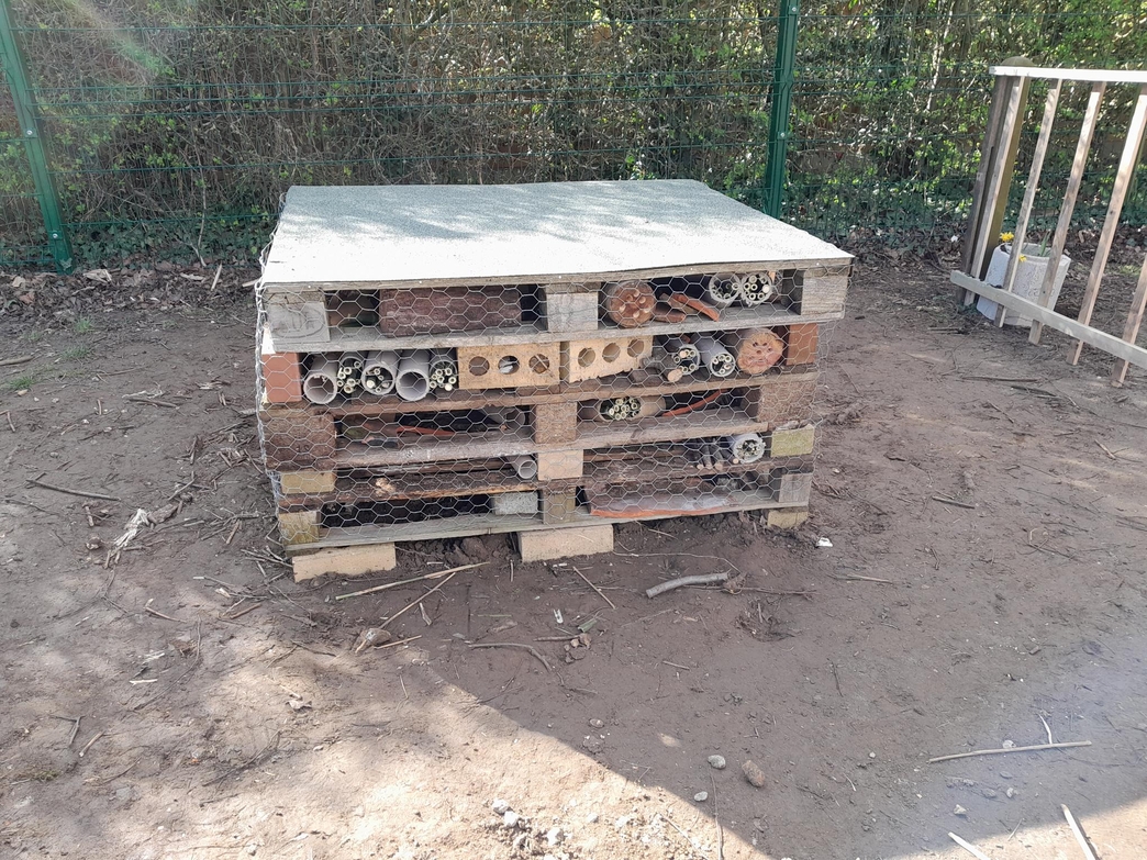 Wilder School Risby Primary School Suffolk Wildlife Trust