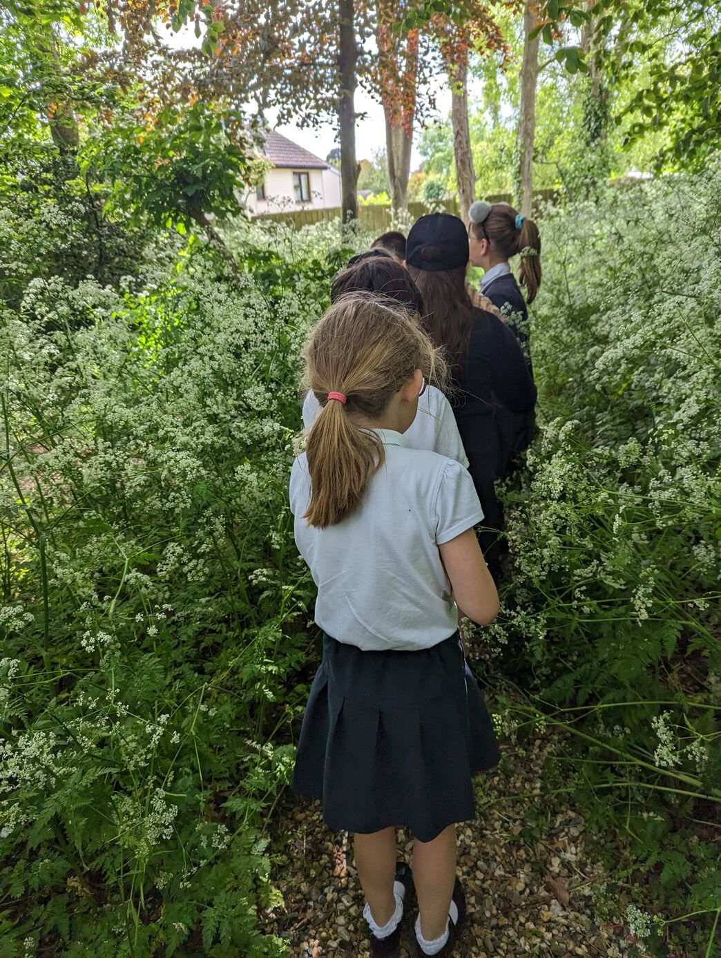 Wilder School - Kingsfleet Primary | Suffolk Wildlife Trust