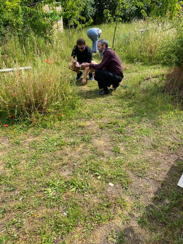 Wilder School - Carlton Colville | Suffolk Wildlife Trust