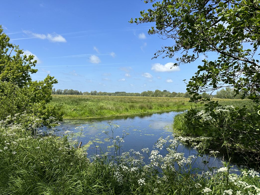Worlingham Marshes - a new nature reserve in the Suffolk Broads ...