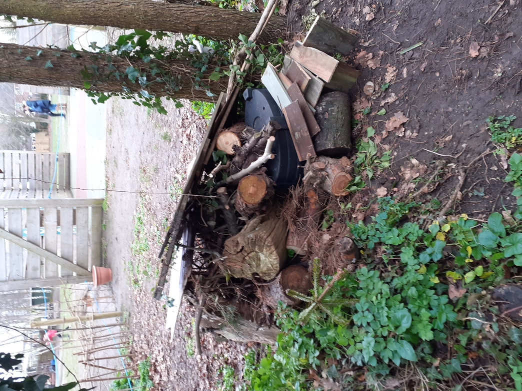 Wilder School - Coldfair Green Primary | Suffolk Wildlife Trust