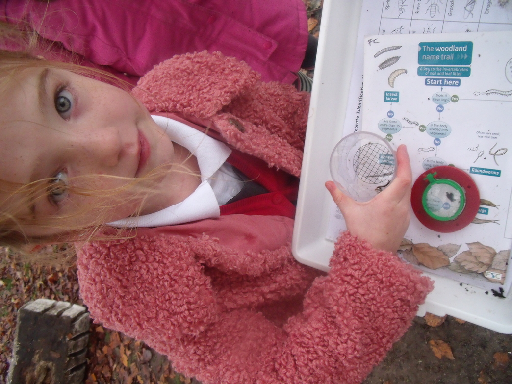 Wilder School - Coldfair Green Primary | Suffolk Wildlife Trust