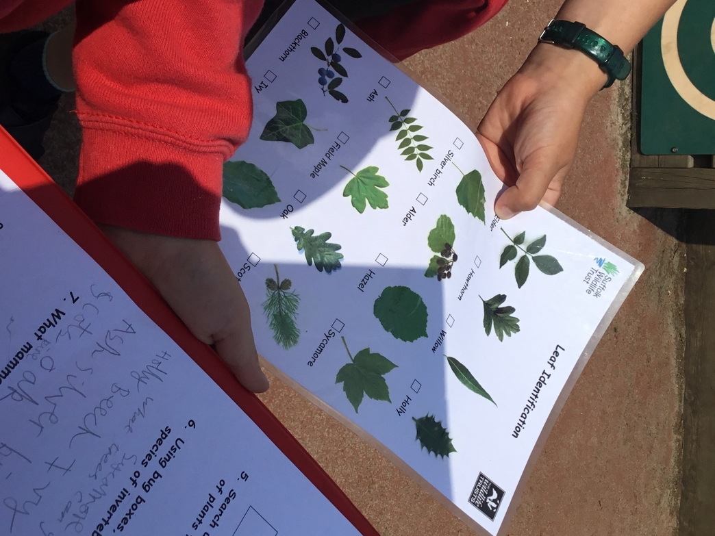 Wilder School - Coldfair Green Primary | Suffolk Wildlife Trust