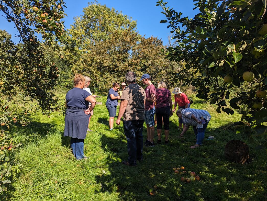 Wilder School - Kingsfleet Primary | Suffolk Wildlife Trust
