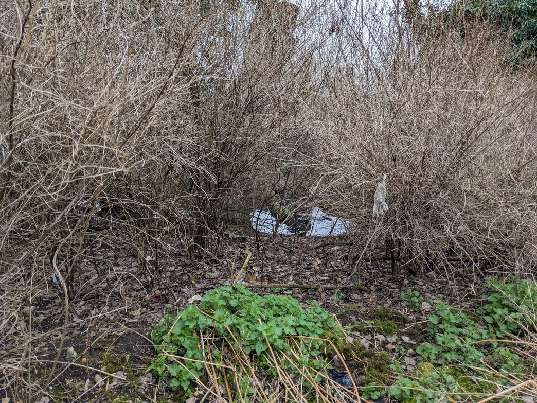 Improving & creating wetland habitats with the Bury Water Meadows Group ...