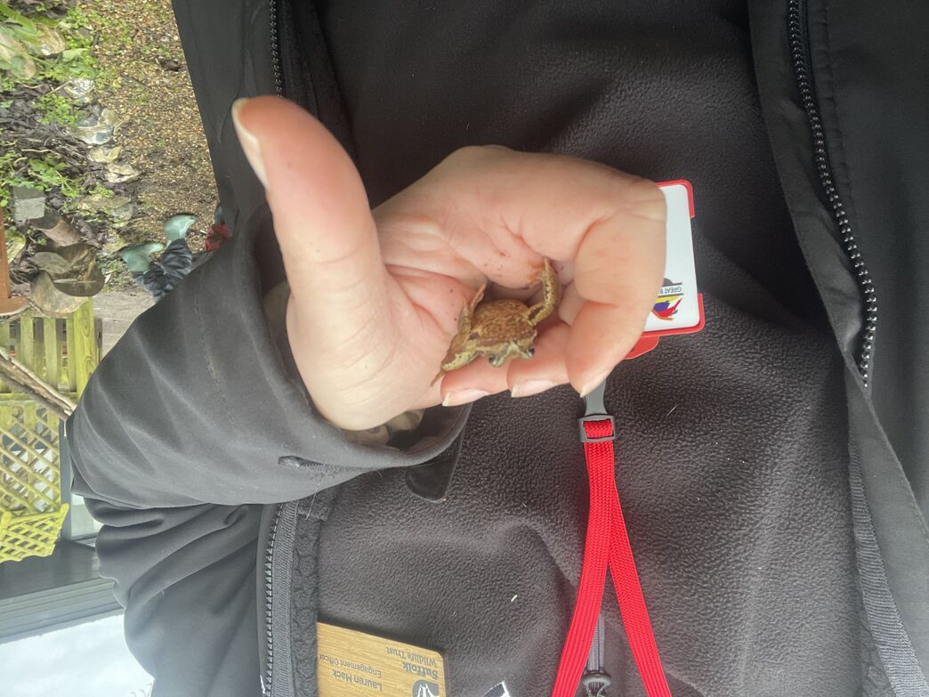 Wilder School - Great Barton | Suffolk Wildlife Trust