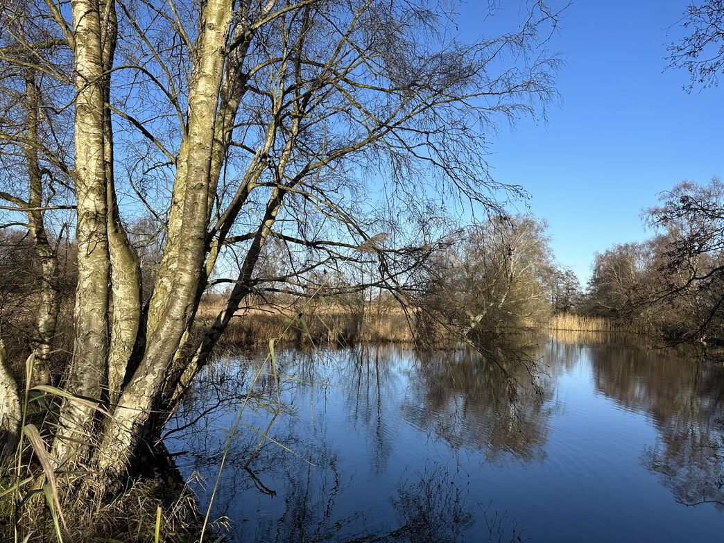 Worlingham Marshes - a new nature reserve in the Suffolk Broads ...