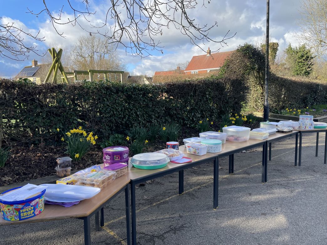 Wilder School - Fressingfield CofE Primary | Suffolk Wildlife Trust