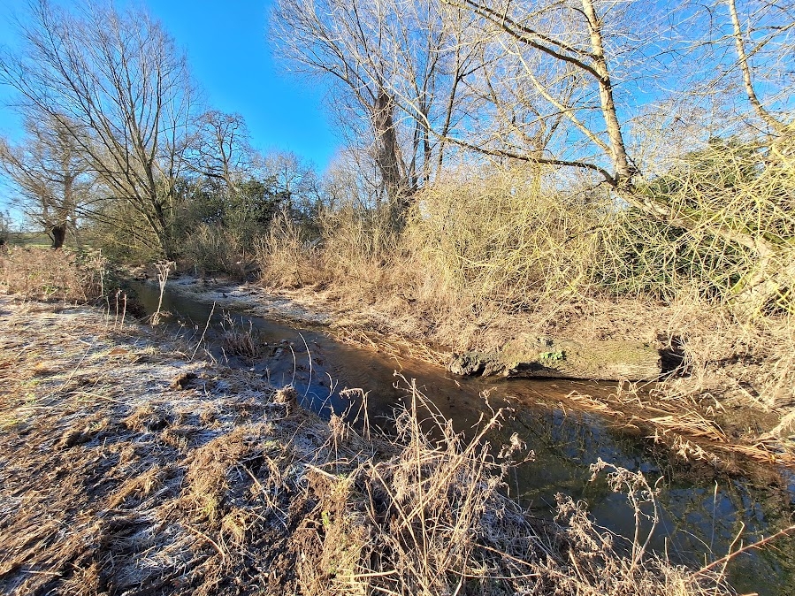 Reconnecting the River Glem floodplains | Suffolk Wildlife Trust