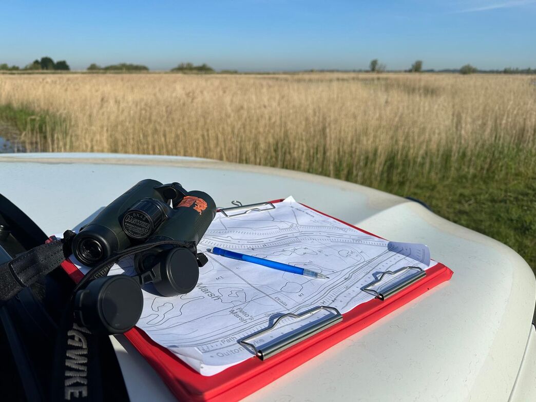 Wild news from our teams - May 2024 | Suffolk Wildlife Trust