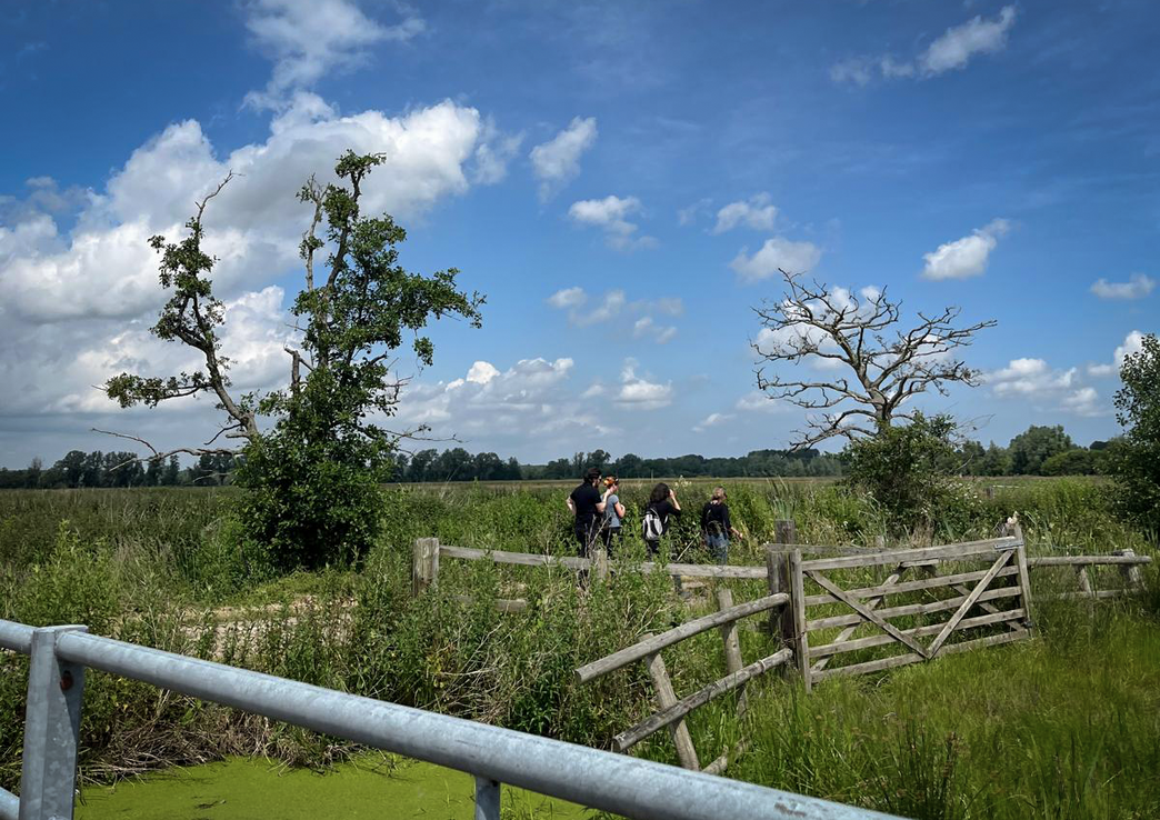 Wild News from our teams - September 2024 | Suffolk Wildlife Trust