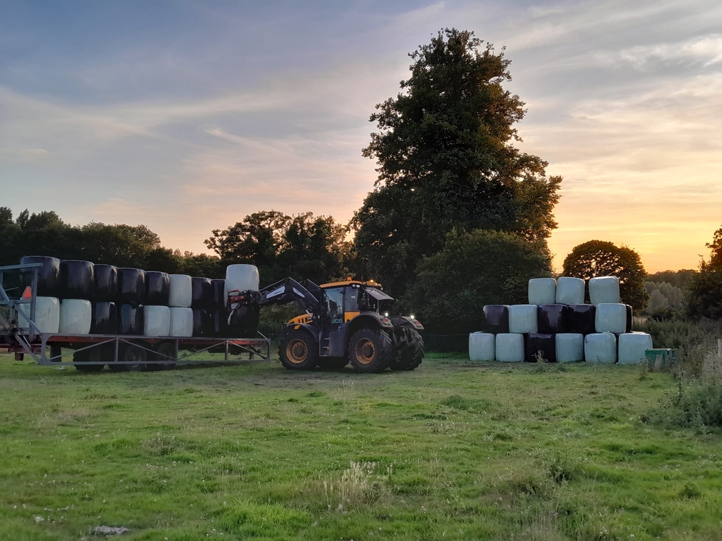 Wild News from our teams - August 2024 | Suffolk Wildlife Trust