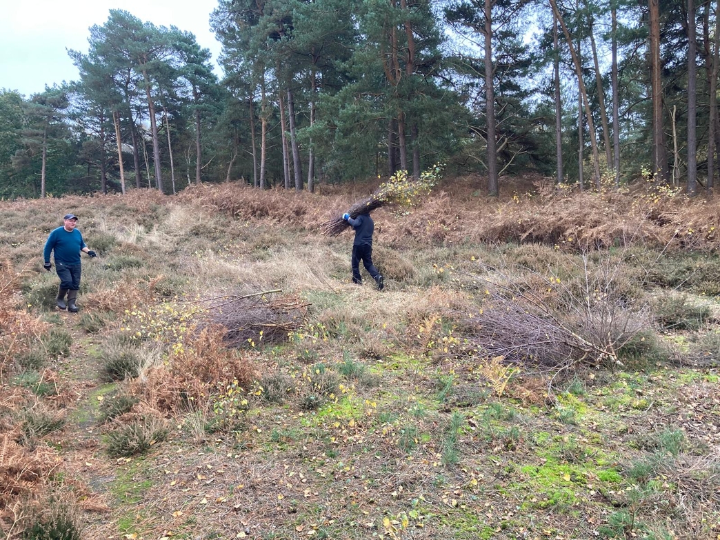 Wild News from our teams - November 2024 | Suffolk Wildlife Trust