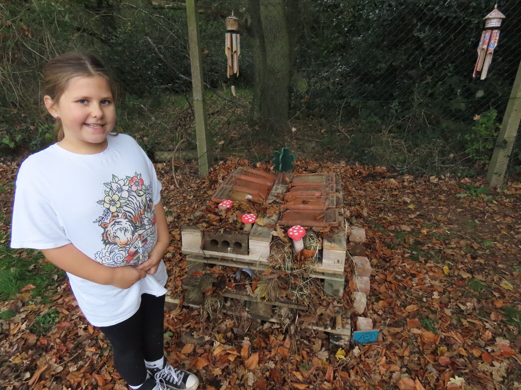 Wilder School - Broke Hall Community Primary School | Suffolk Wildlife ...