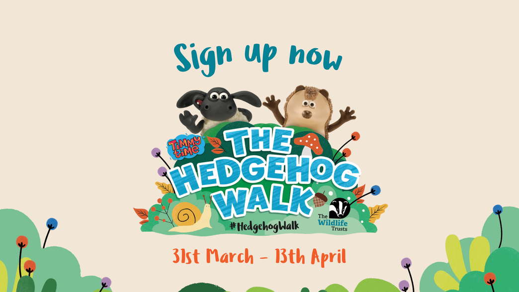 Sign up now open for the Hedgehog Walk 2025 | Suffolk Wildlife Trust