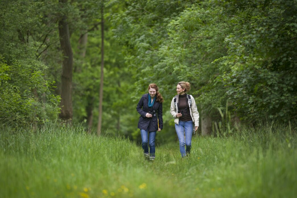 Nature charities call on mayoral candidates to champion new nature ...