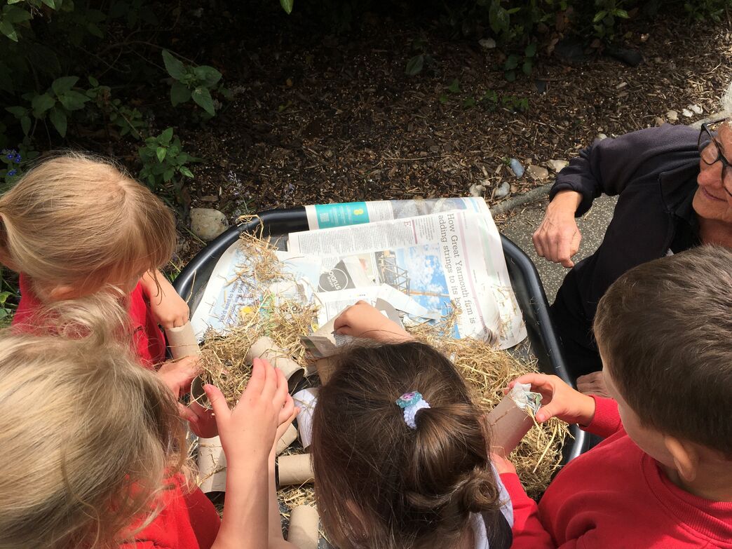 Wilder School - Southwold Primary School | Suffolk Wildlife Trust