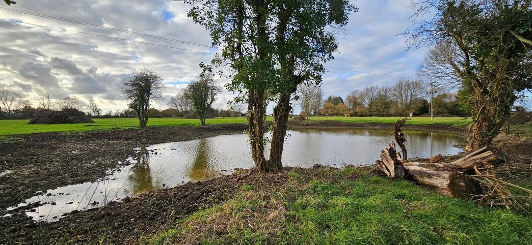 Bringing Nature Back to Life: Pond Restoration at Ilketshall St ...