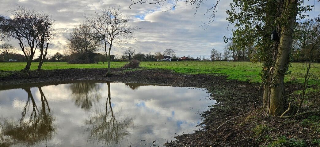 Bringing Nature Back to Life: Pond Restoration at Ilketshall St ...