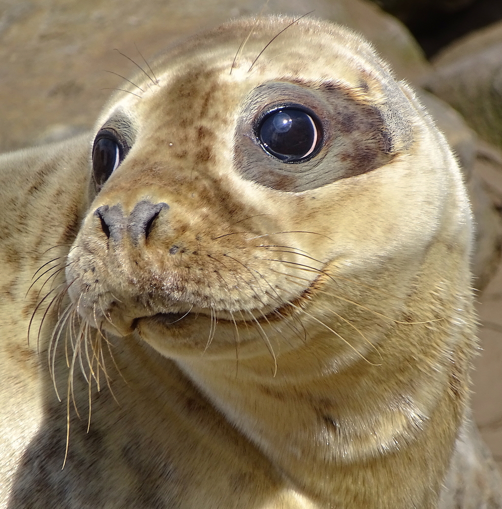 Photography Competition 2018 Overall and Public winners announced ...