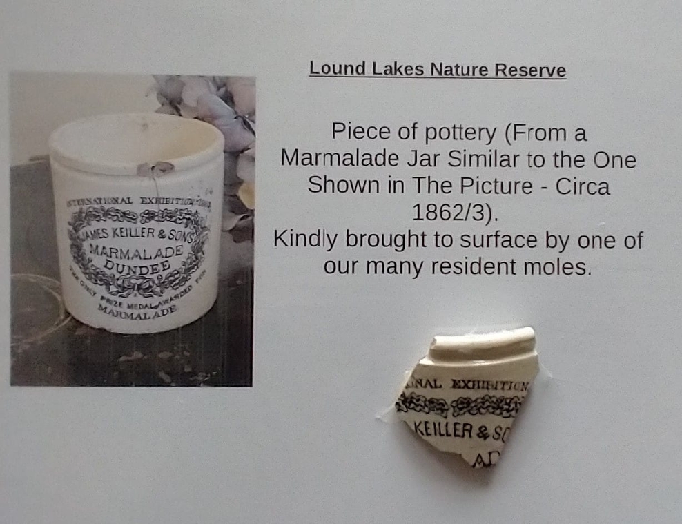 Weekly wild news from our reserves - 9 July 2021 | Suffolk Wildlife Trust