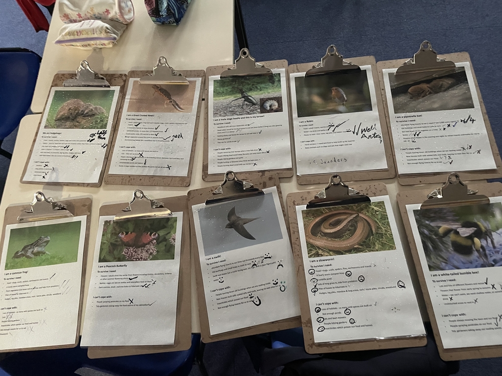 Wilder School - Woodbridge School Prep | Suffolk Wildlife Trust