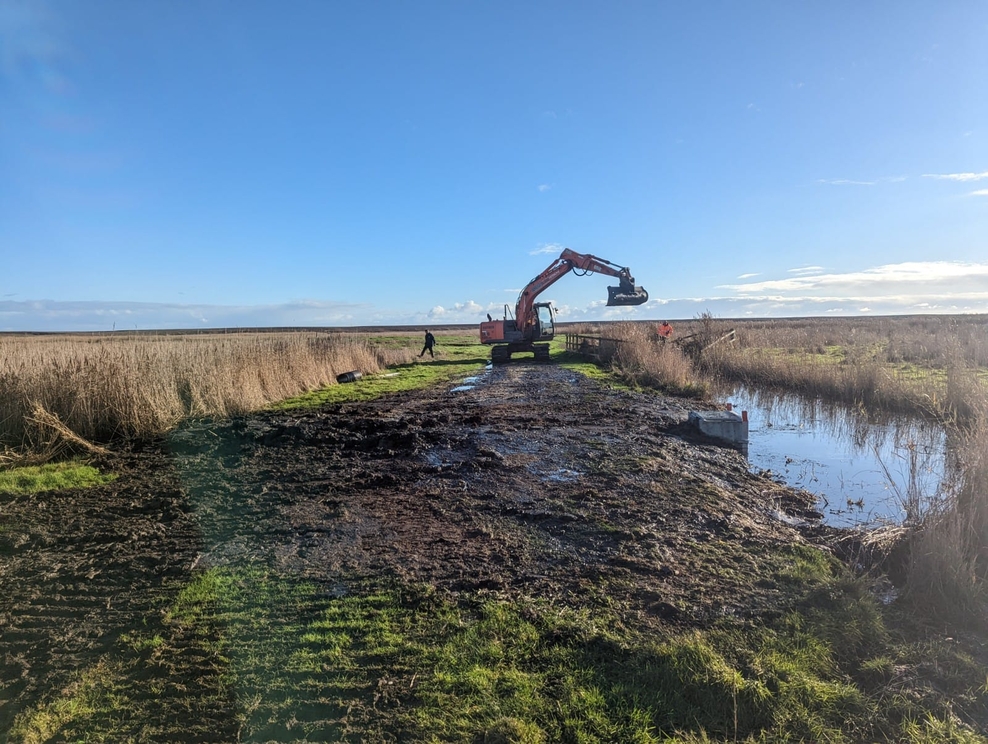 Weekly wild news from our reserves - 16 December 2022 | Suffolk ...