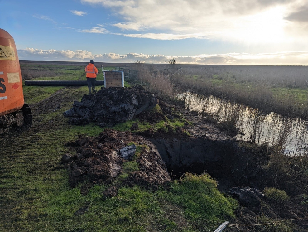 Weekly wild news from our reserves - 16 December 2022 | Suffolk ...