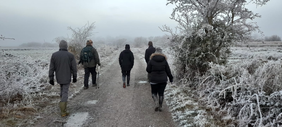 Weekly wild news from our reserves - 16 December 2022 | Suffolk ...