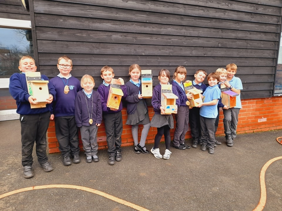Wilder School - Dennington Primary | Suffolk Wildlife Trust