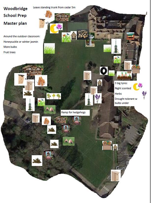 Wilder School - Woodbridge School Prep | Suffolk Wildlife Trust