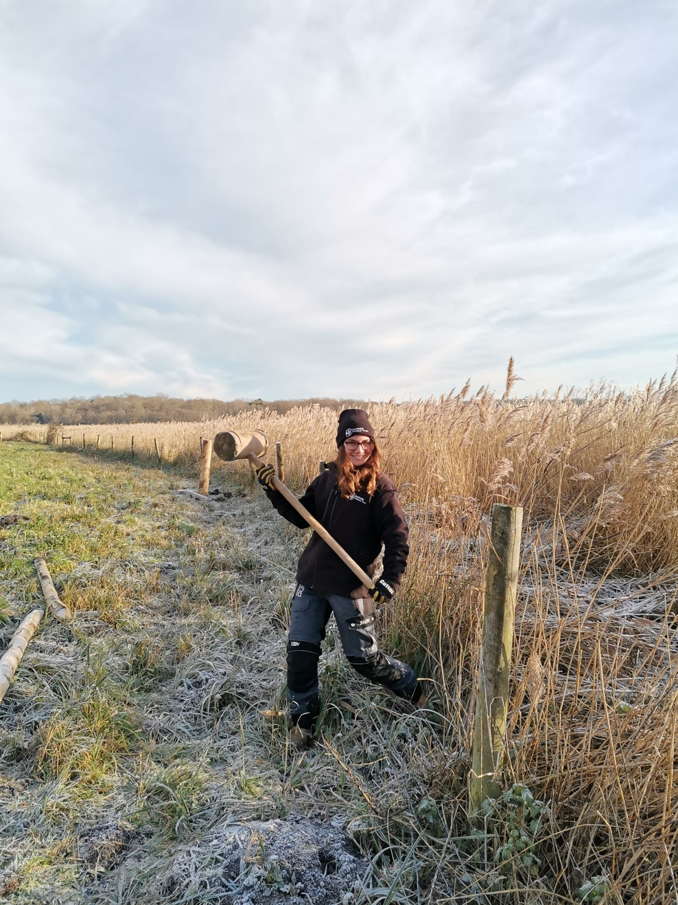 Weekly wild news from our reserves - 3 February 2023 | Suffolk Wildlife ...