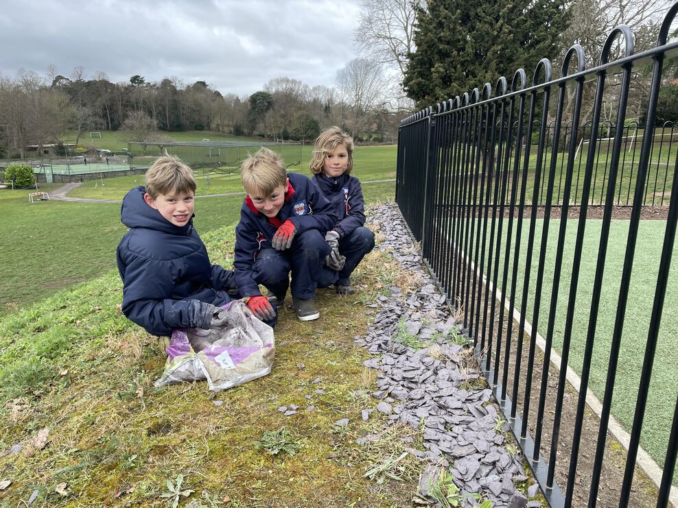 Wilder School - Woodbridge School Prep | Suffolk Wildlife Trust