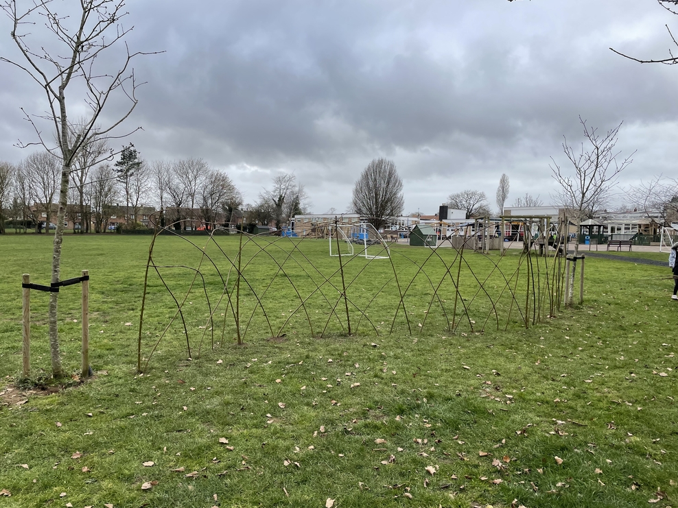Wilder School Kyson Primary School Suffolk Wildlife Trust