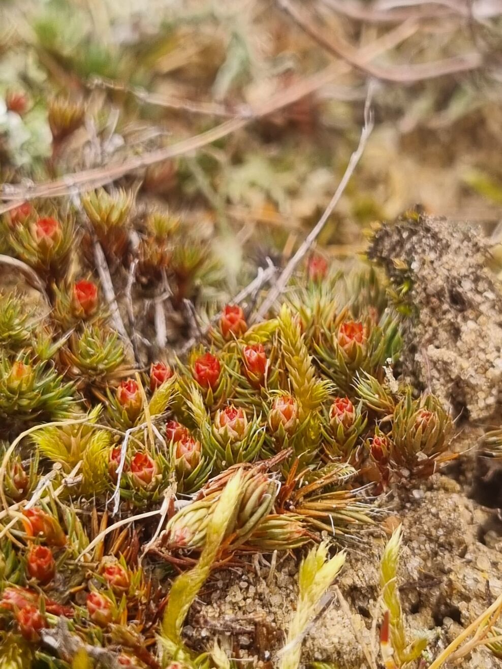 Weekly wild news from our reserves – 10 March 2023 | Suffolk Wildlife Trust