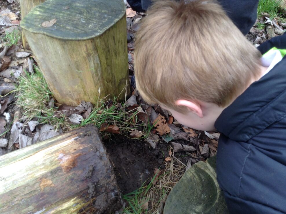 Wilder School - Wortham Primary | Suffolk Wildlife Trust