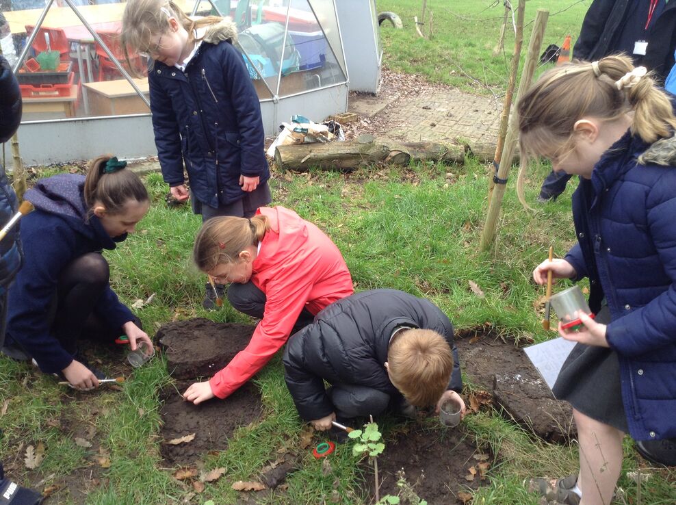 Wilder School - Wortham Primary | Suffolk Wildlife Trust