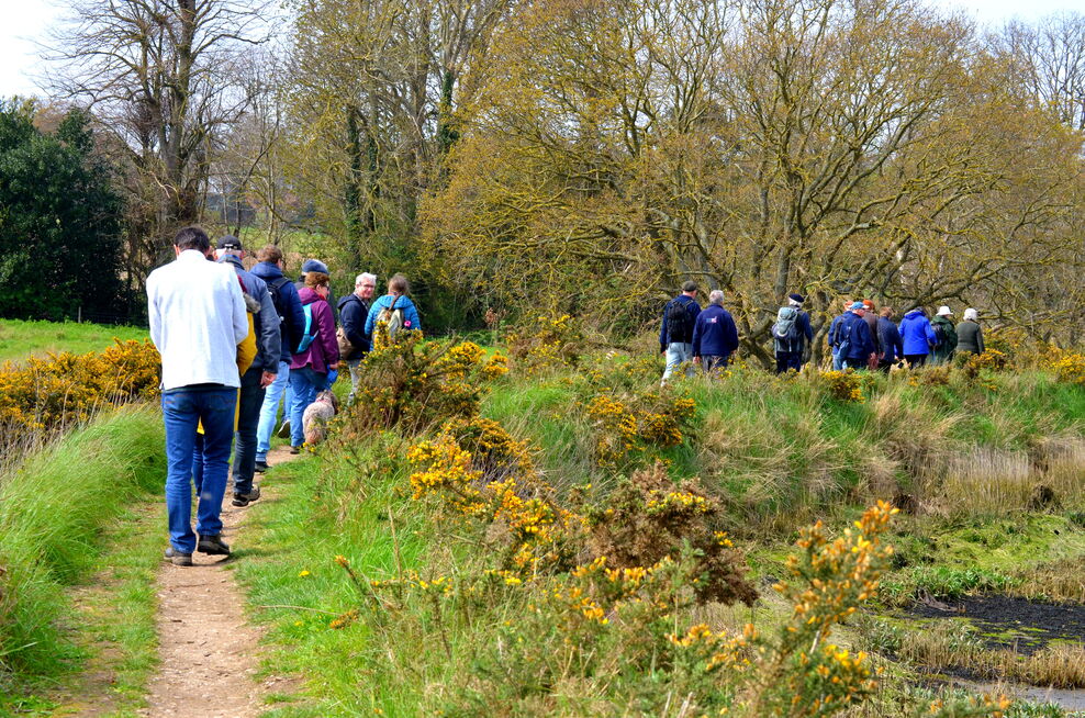 A thank you walk around Martlesham Wilds with Suffolk Coast & Heaths ...