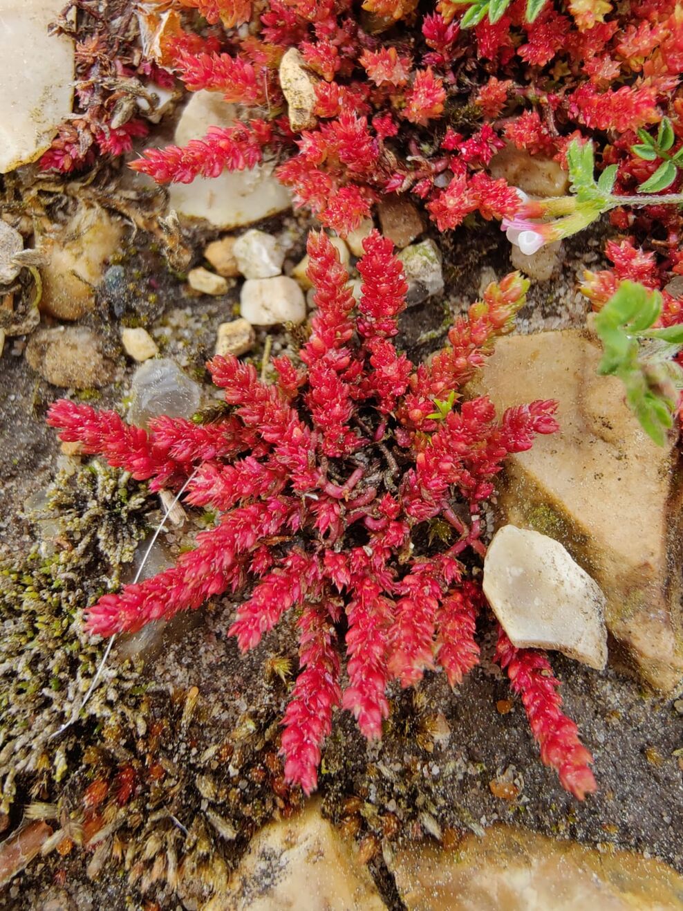 Wild news from our reserves, 2nd June 2023 | Suffolk Wildlife Trust