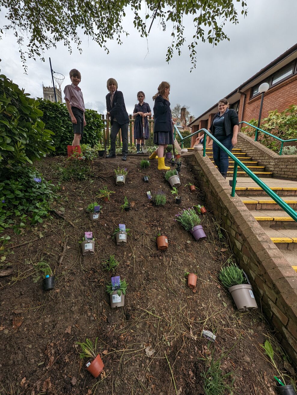 Wilder School - Woodbridge School Prep | Suffolk Wildlife Trust